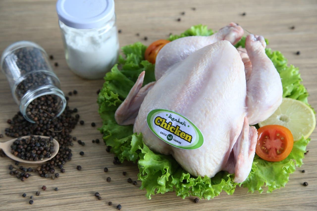 Fakta unik Ayam Organik Berkah Chicken yang belum banyak diketahui ...