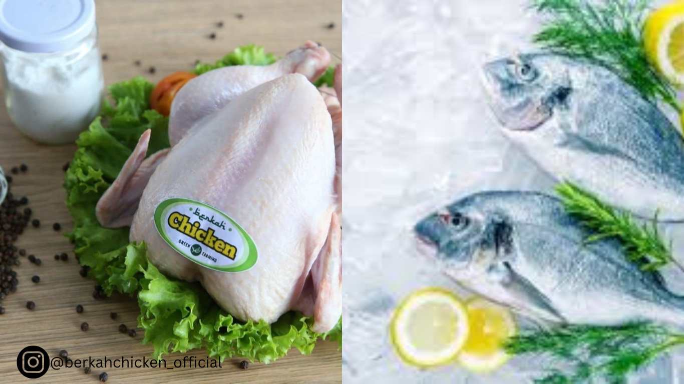 Makan Ayam Atau Ikan Mana yang lebih sehat? • Berkah Chicken